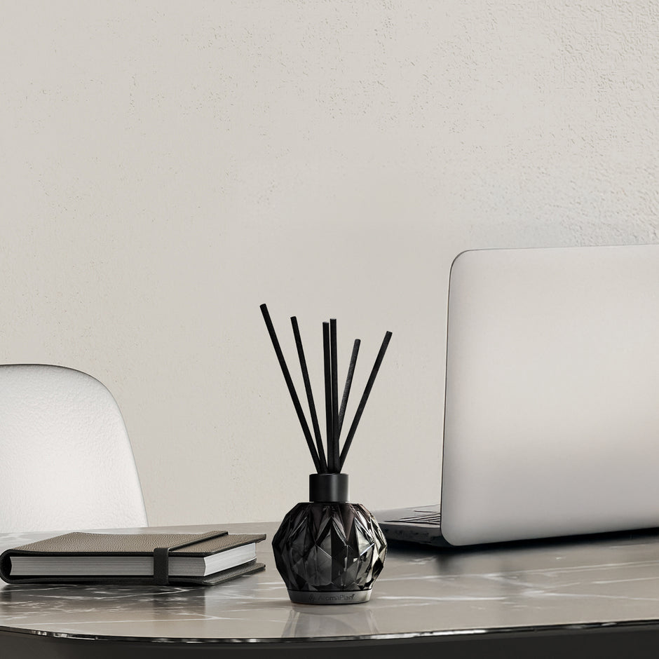 Reed Diffuser For Home – AromaPlan